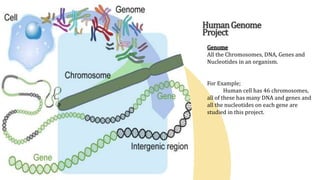Human Genome Project Assignment Topic.pptx