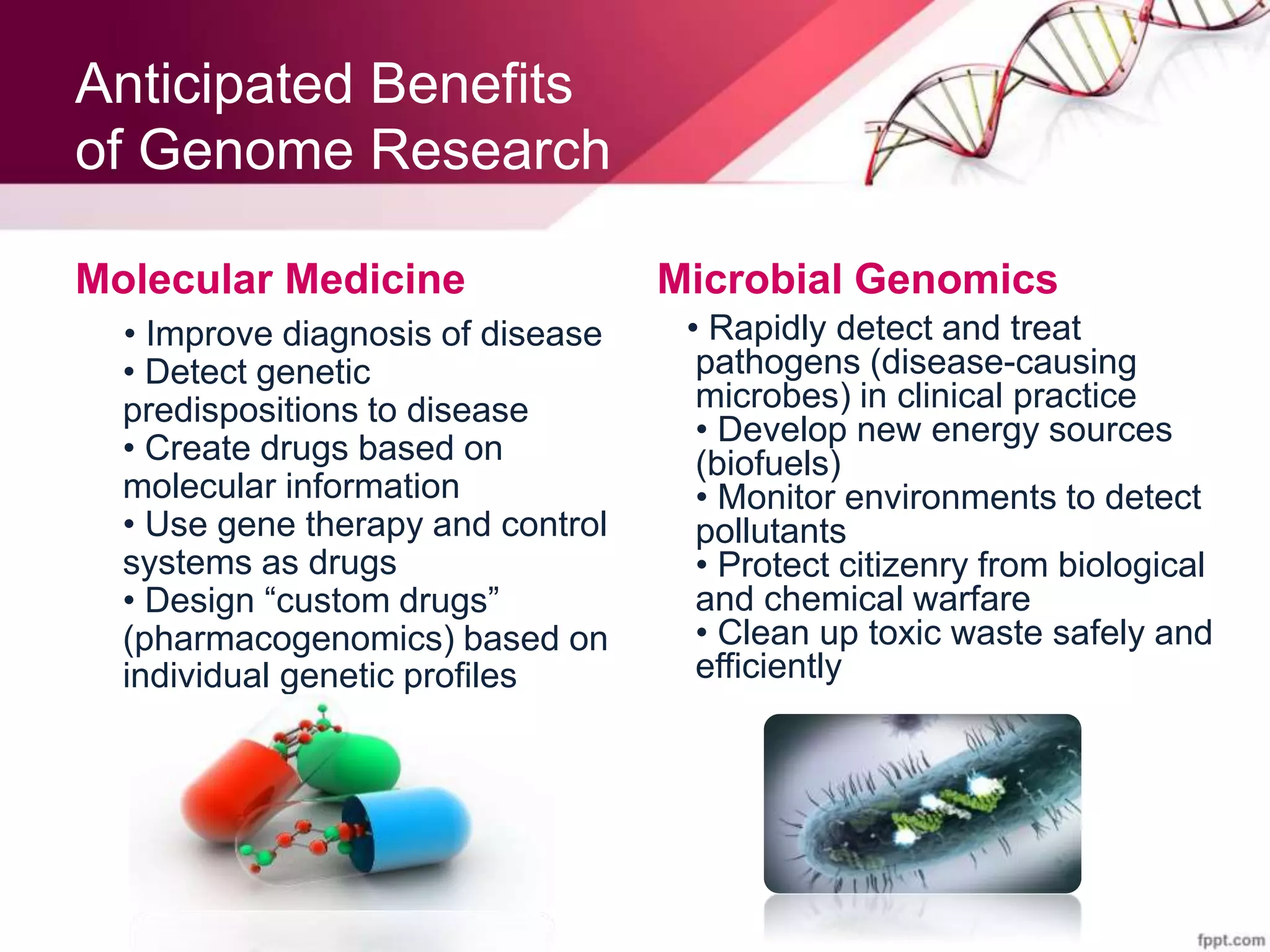 The Human Genome Project | PPTX