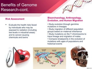 The Human Genome Project | PPTX