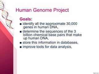 The Human Genome Project | PPTX