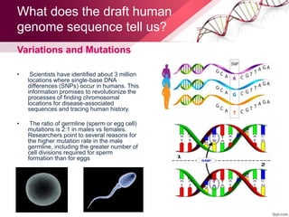 The Human Genome Project | PPTX