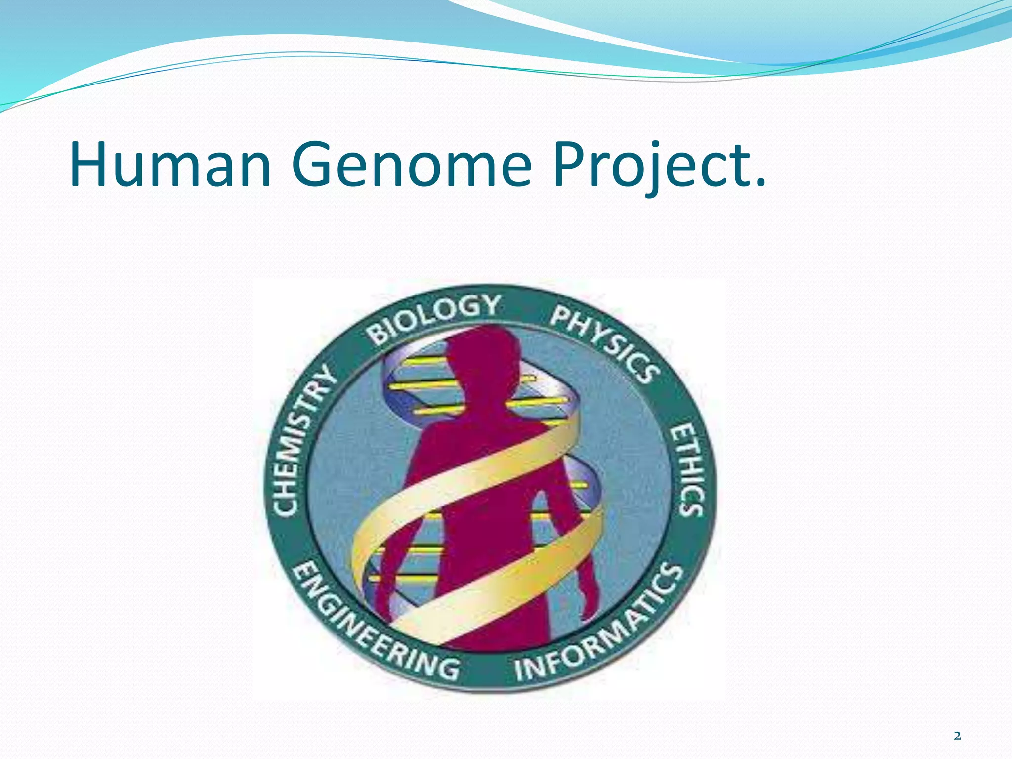HUMAN GENOME PROJECT by Ali Afzal.pptx | Genetics | Science