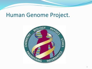 HUMAN GENOME PROJECT by Ali Afzal.pptx