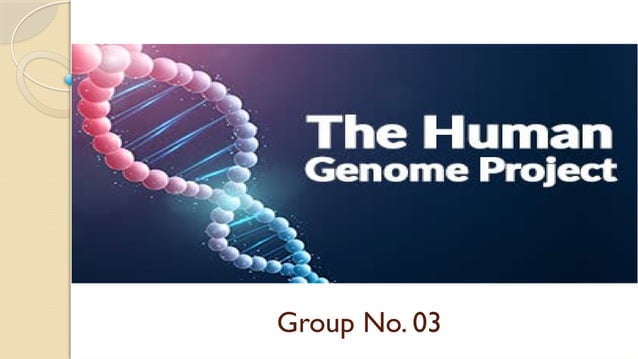 Human Genome Project Introduction comple | PPT