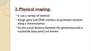 Human Genome Project Introduction comple | PPTX