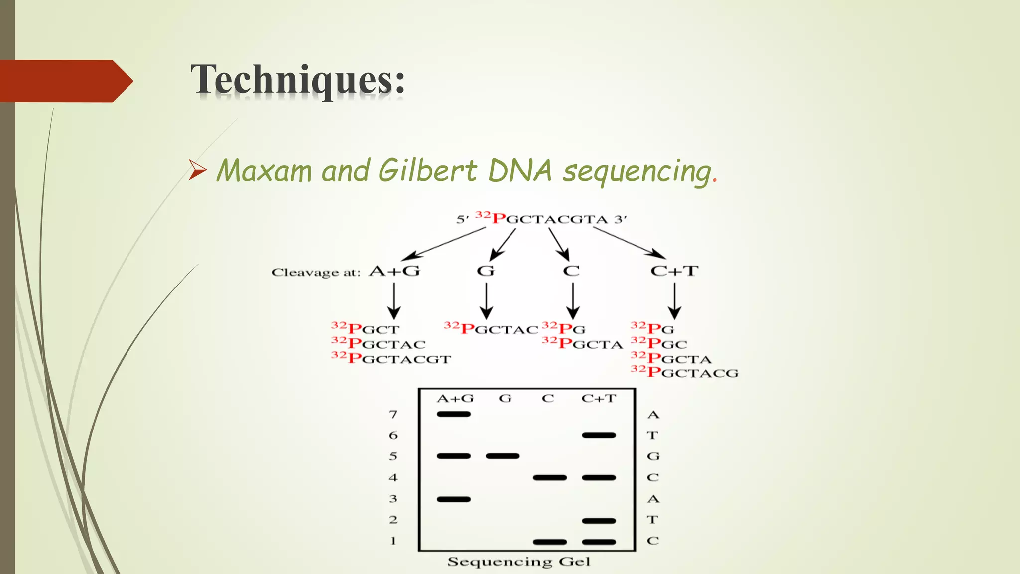 Human Genome Project | PPTX