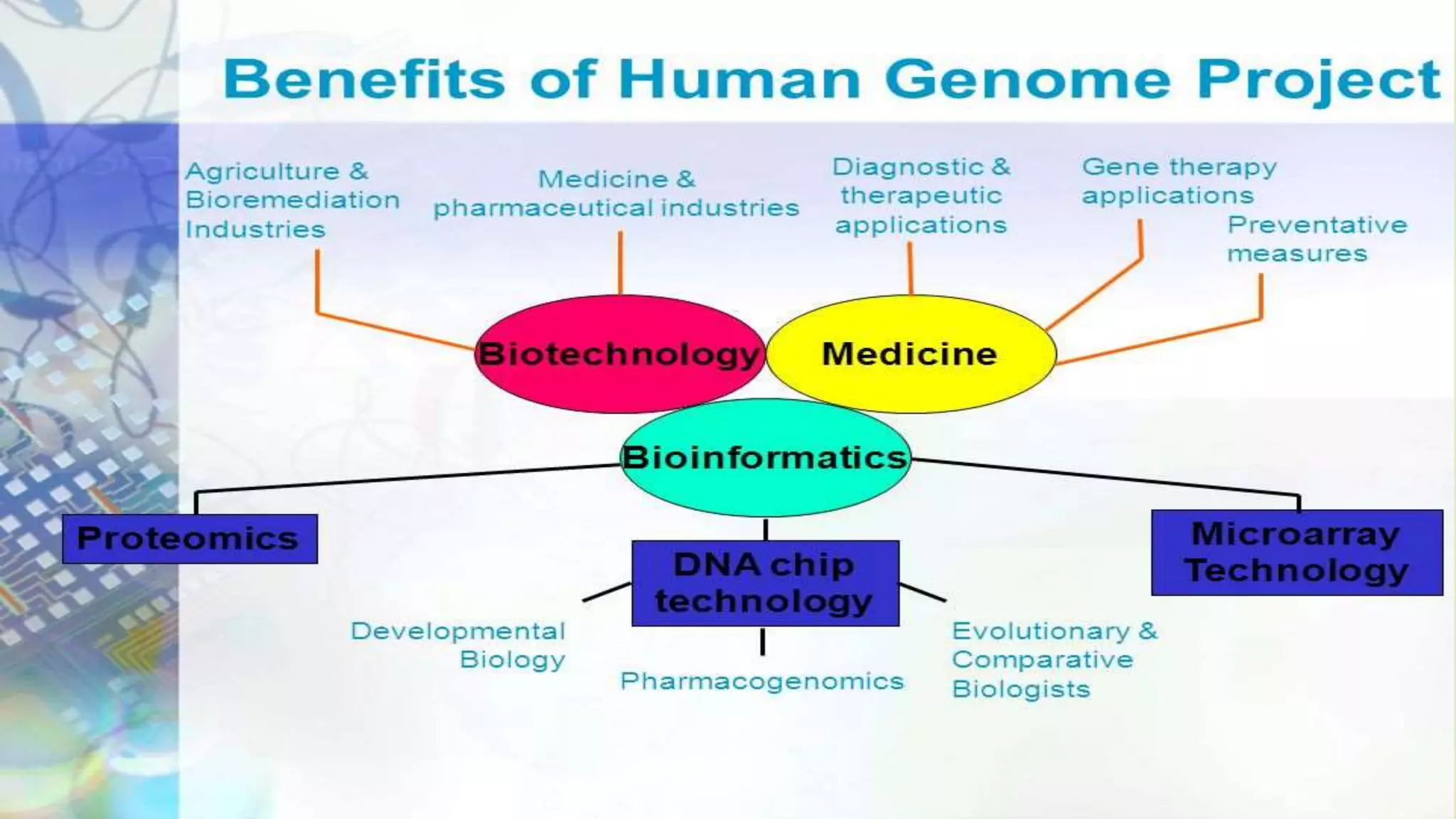 Human Genome Project | PPTX