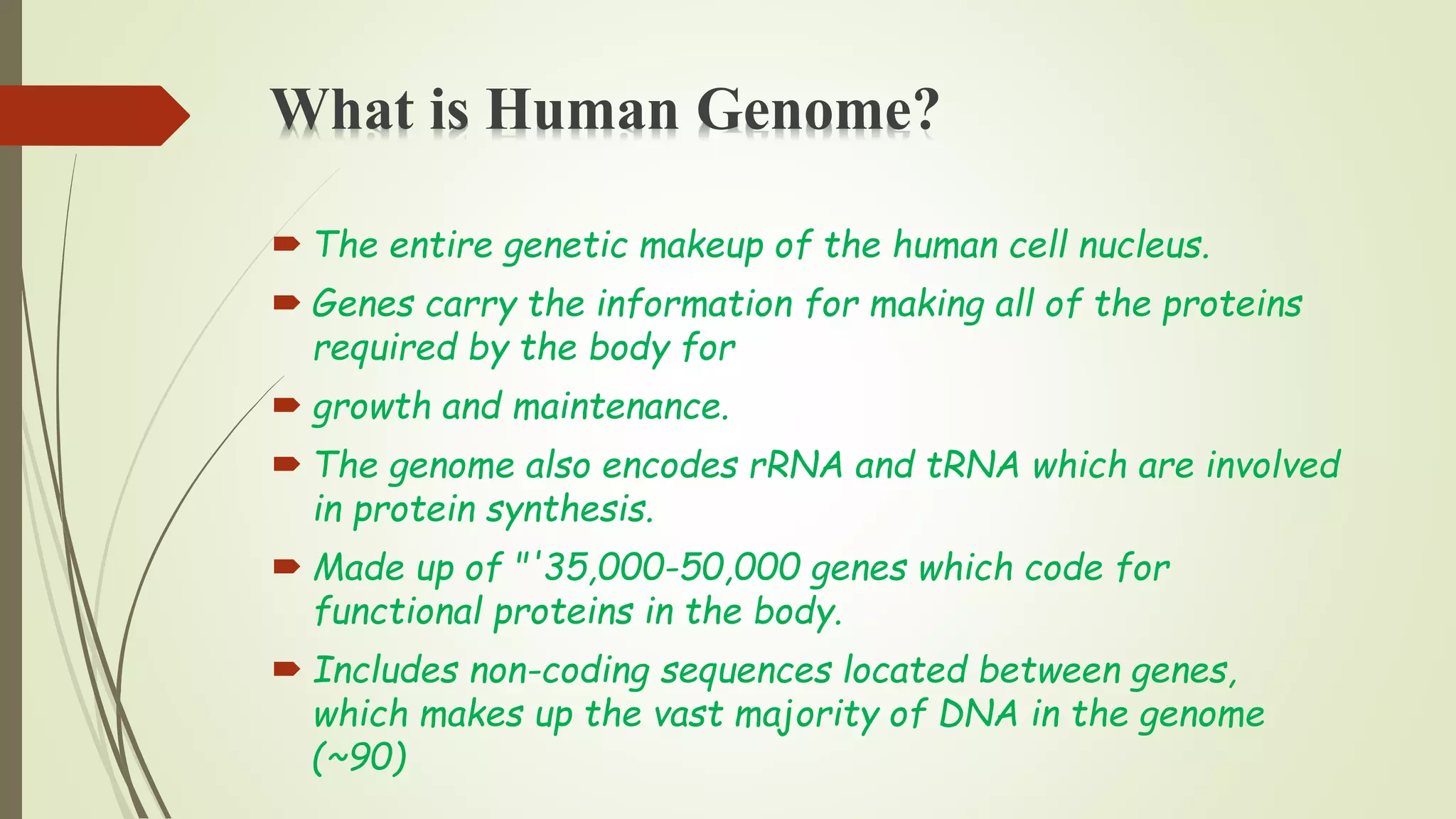Human Genome Project | PPTX | Genetics | Science