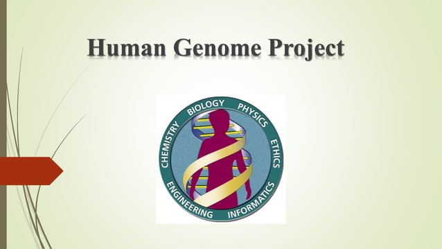 Human Genome Project | PPTX | Genetics | Science