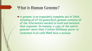 Human Genome Project | PPTX