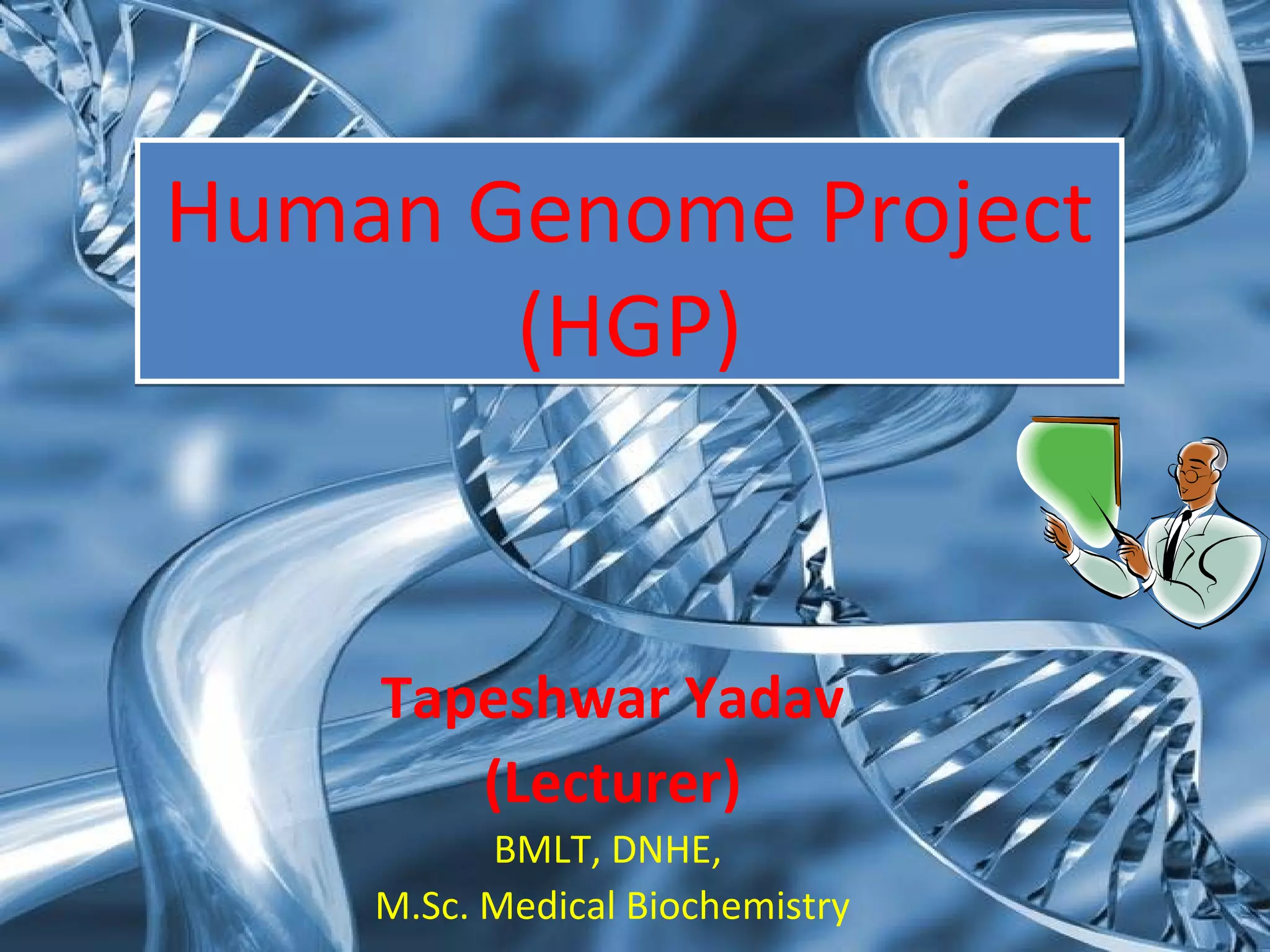 Human genome project () | PPT