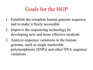 Human genome project () | PPT