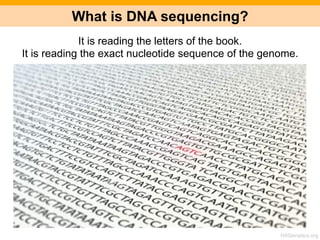 Human Dna Sequence Example