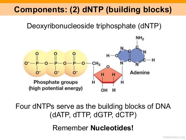 The Human Genome Project - Part I