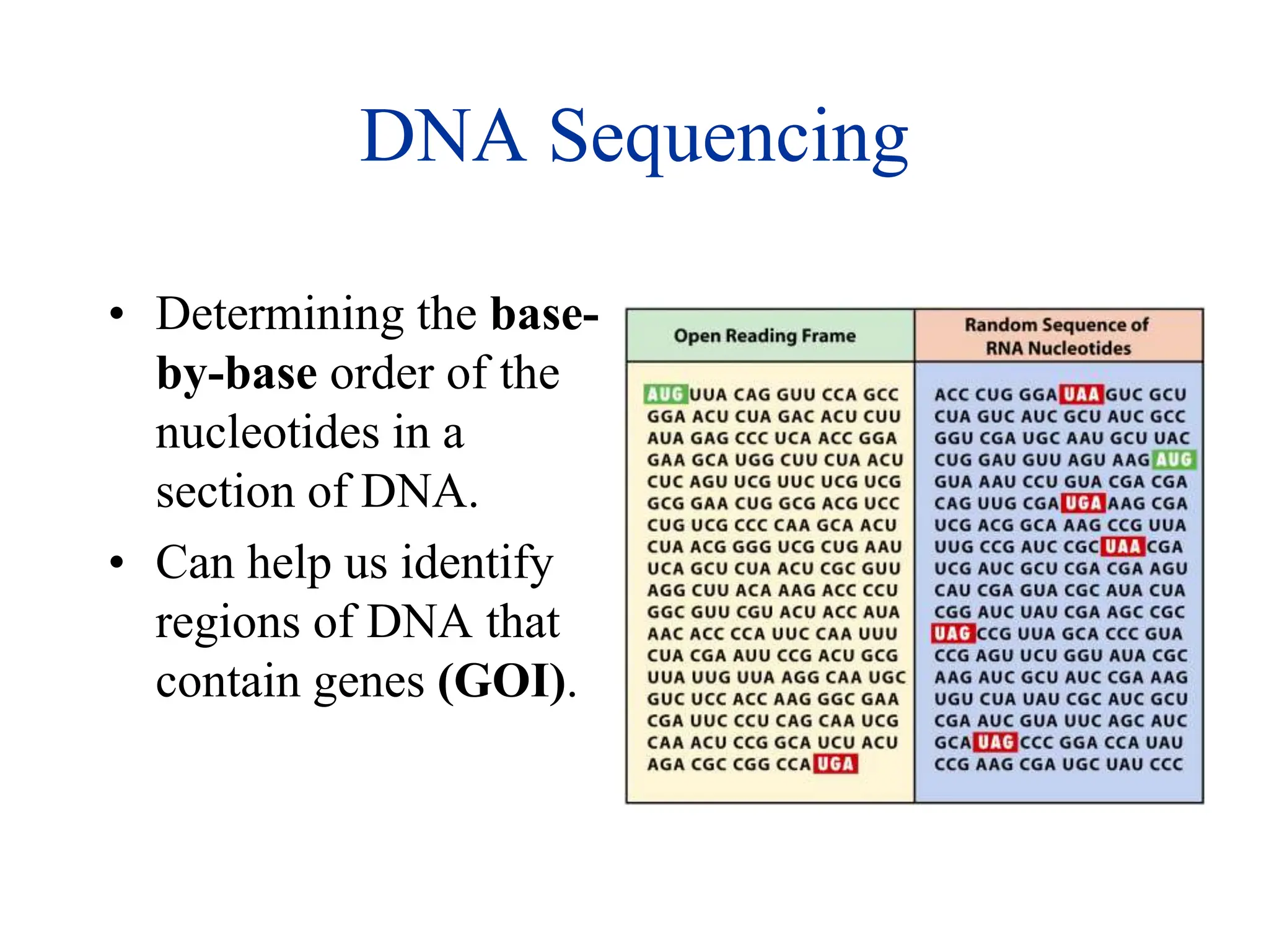 Human Genome Sequencing and health Biotechnology.ppt
