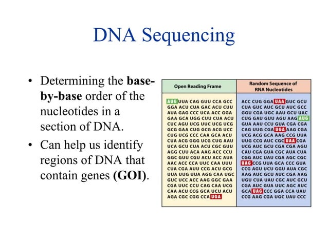 Human Genome Sequencing and health Biotechnology.ppt