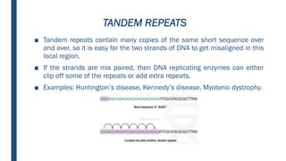 Human genome variation | PDF