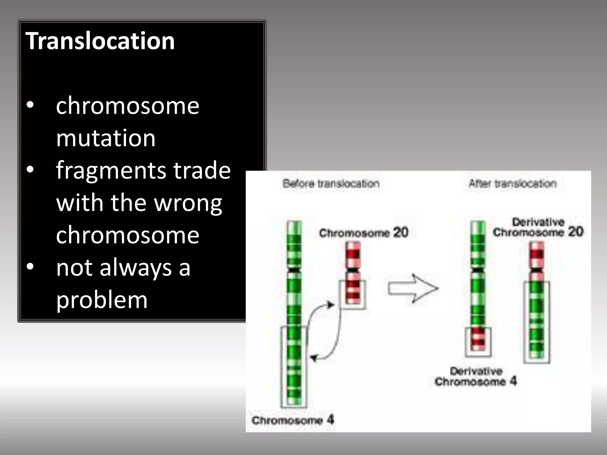 Human Genomics1: Karyotypes and Mutations | PPTX