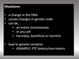 Human Genomics1: Karyotypes and Mutations | PPTX