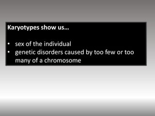 Human Genomics1: Karyotypes and Mutations | PPTX