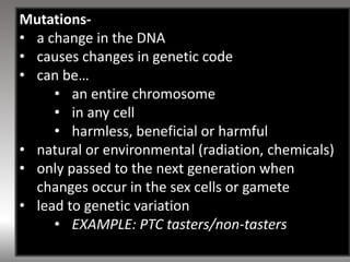 Human Genomics1 Karyotypes and Mutations | PPTX