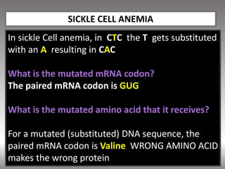 Human Genomics1 Karyotypes and Mutations | PPTX