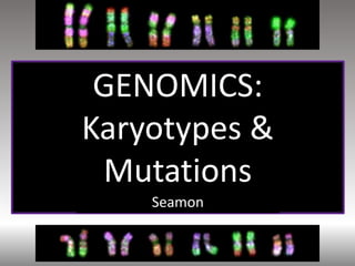 Human Genomics 1: Karyotypes and Mutations | PPTX | Blood Disorders ...