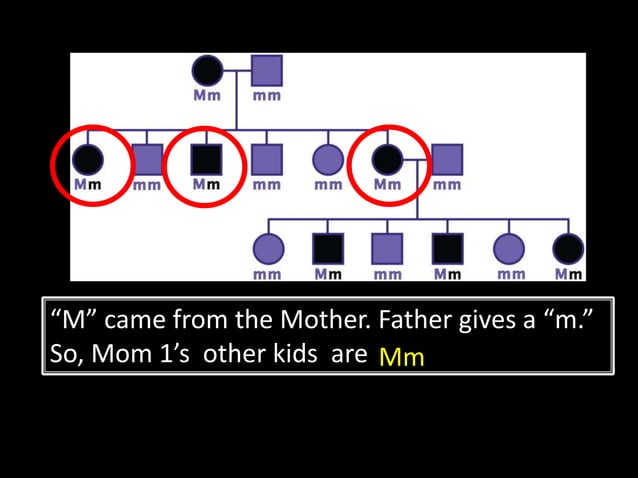 Human Genomics 2: Pedigrees | PPT