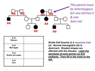 Human Genomics 2: Pedigrees | PPT