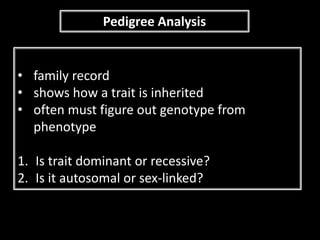 Human Genomics 2: Pedigrees | PPT
