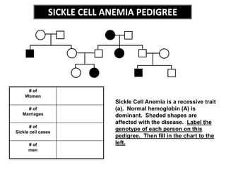 Sickle Cell Anemia Pedigree With Genotypes