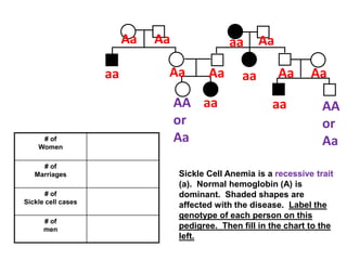 Sickle Cell Anemia Pedigree With Genotypes