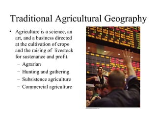 Human geography8 | PPT