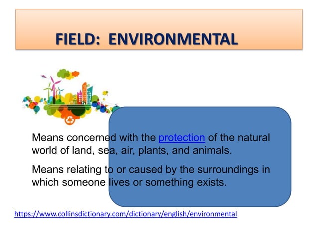 Human geography fields | PPTX