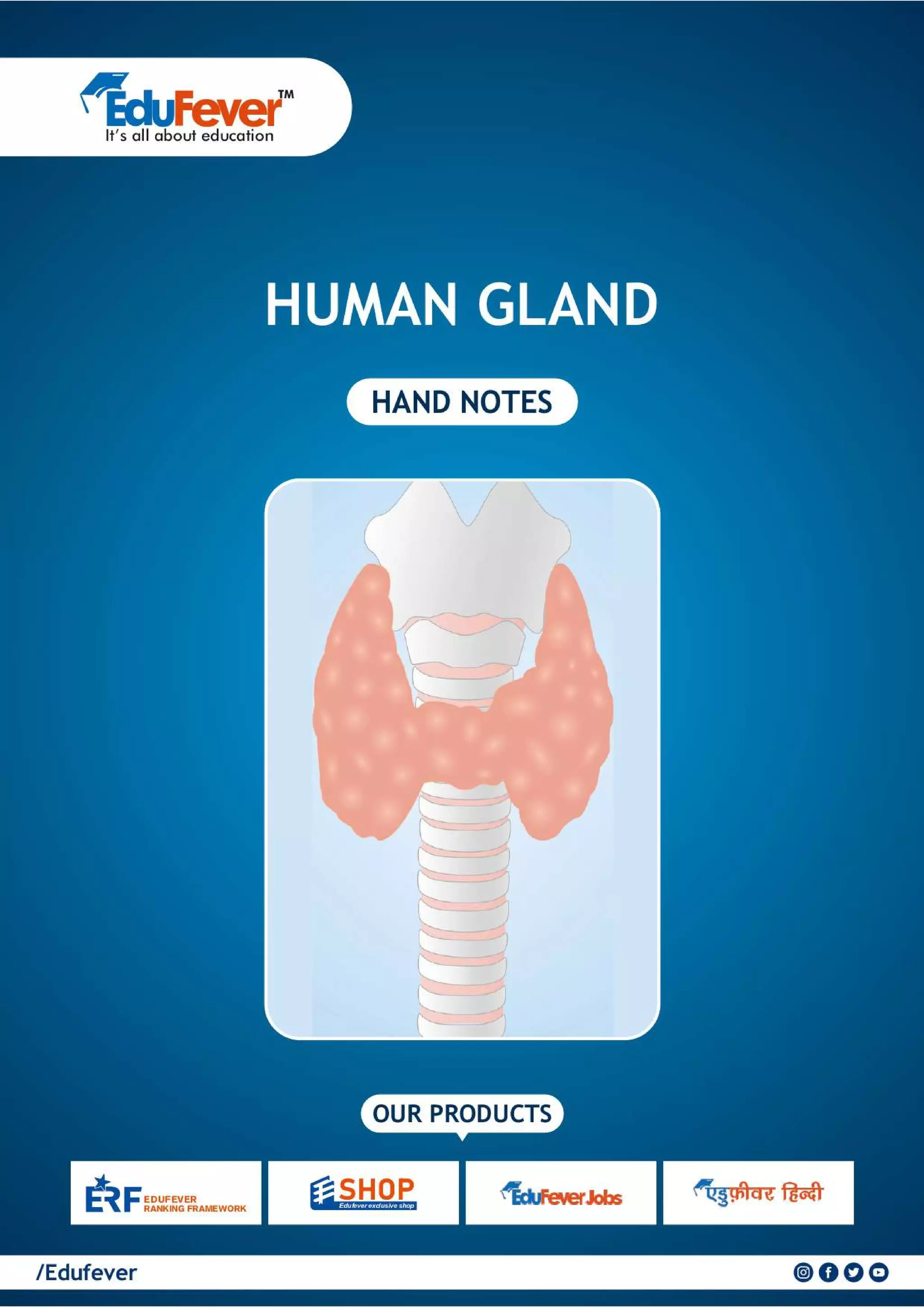 Human Gland - Biology Handwritten Notes | PDF