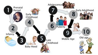 Stages Of Human Development From Birth To Adulthood