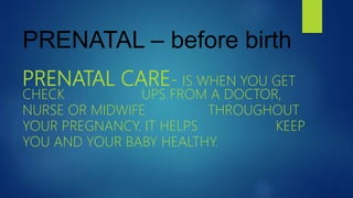 Human growth and development report PERINATAL | PPT