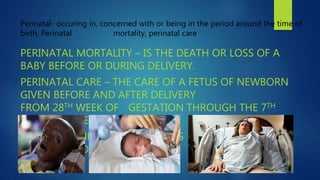 Human growth and development report PERINATAL | PPT