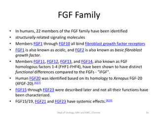 Human growth factorS | PDF