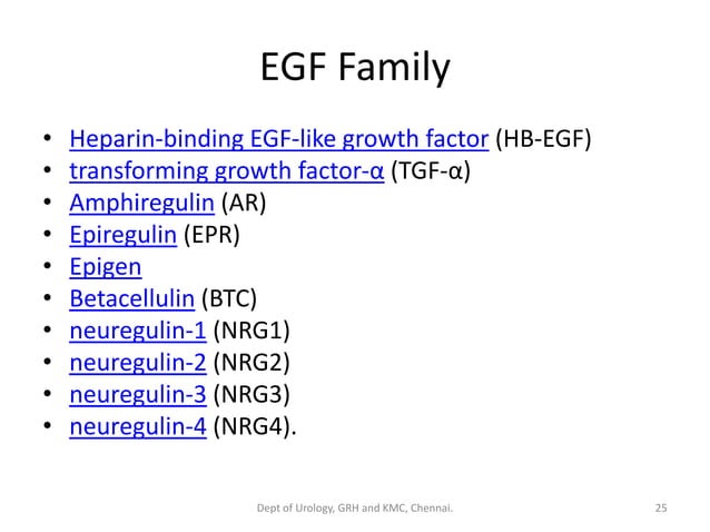 Human growth factorS | PDF