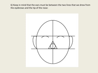 Human head proportions | PPT