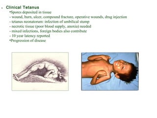 Human health and disease | PPT