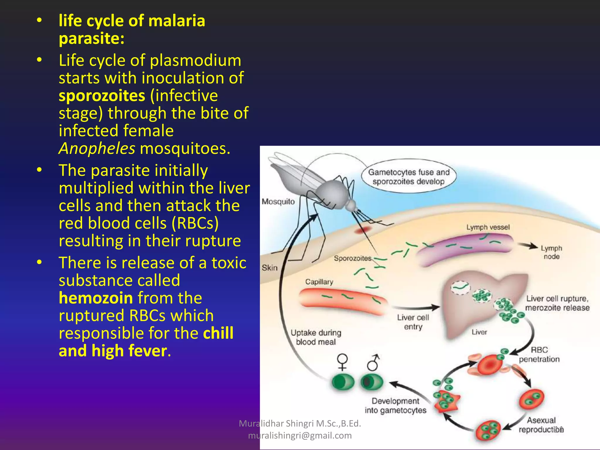 Human health and disease | PPTX