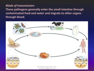 Human health and disease | PPTX