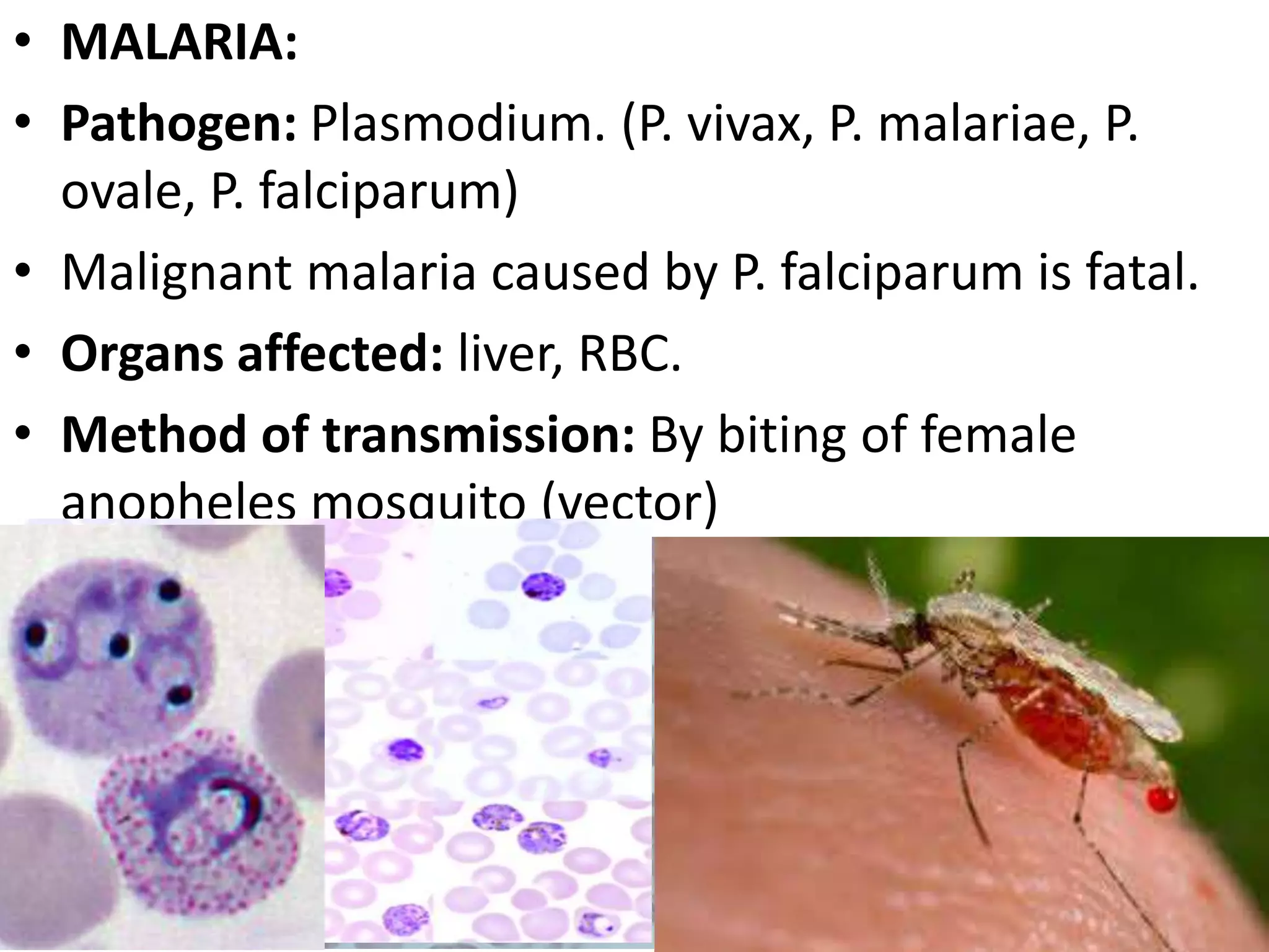 Chapter 8. Human health and disease. | PPTX