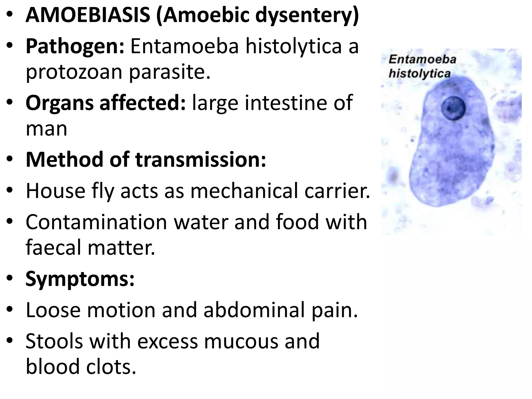 Chapter 8. Human health and disease. | PPTX