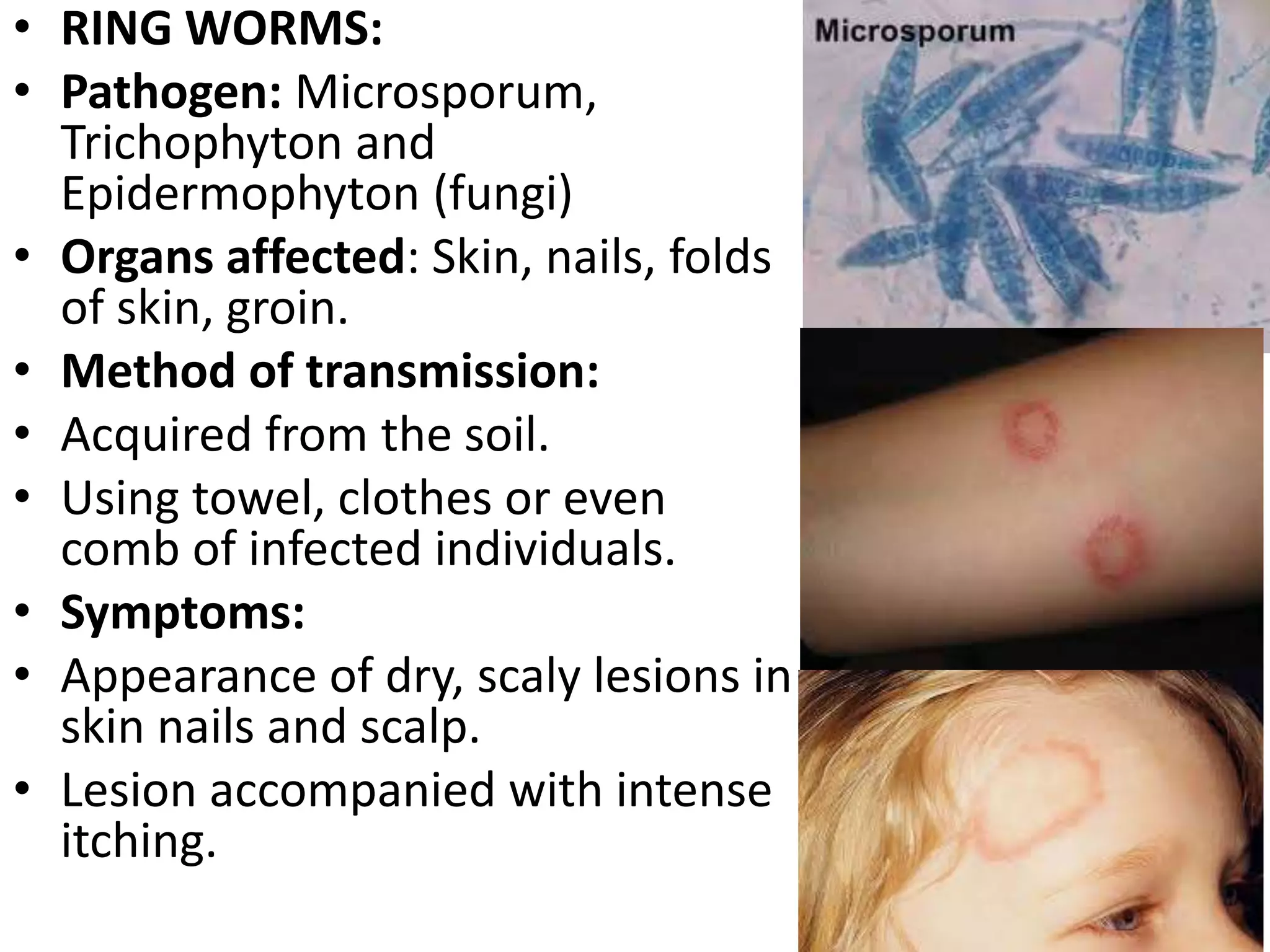 Chapter 8. Human health and disease. | PPTX