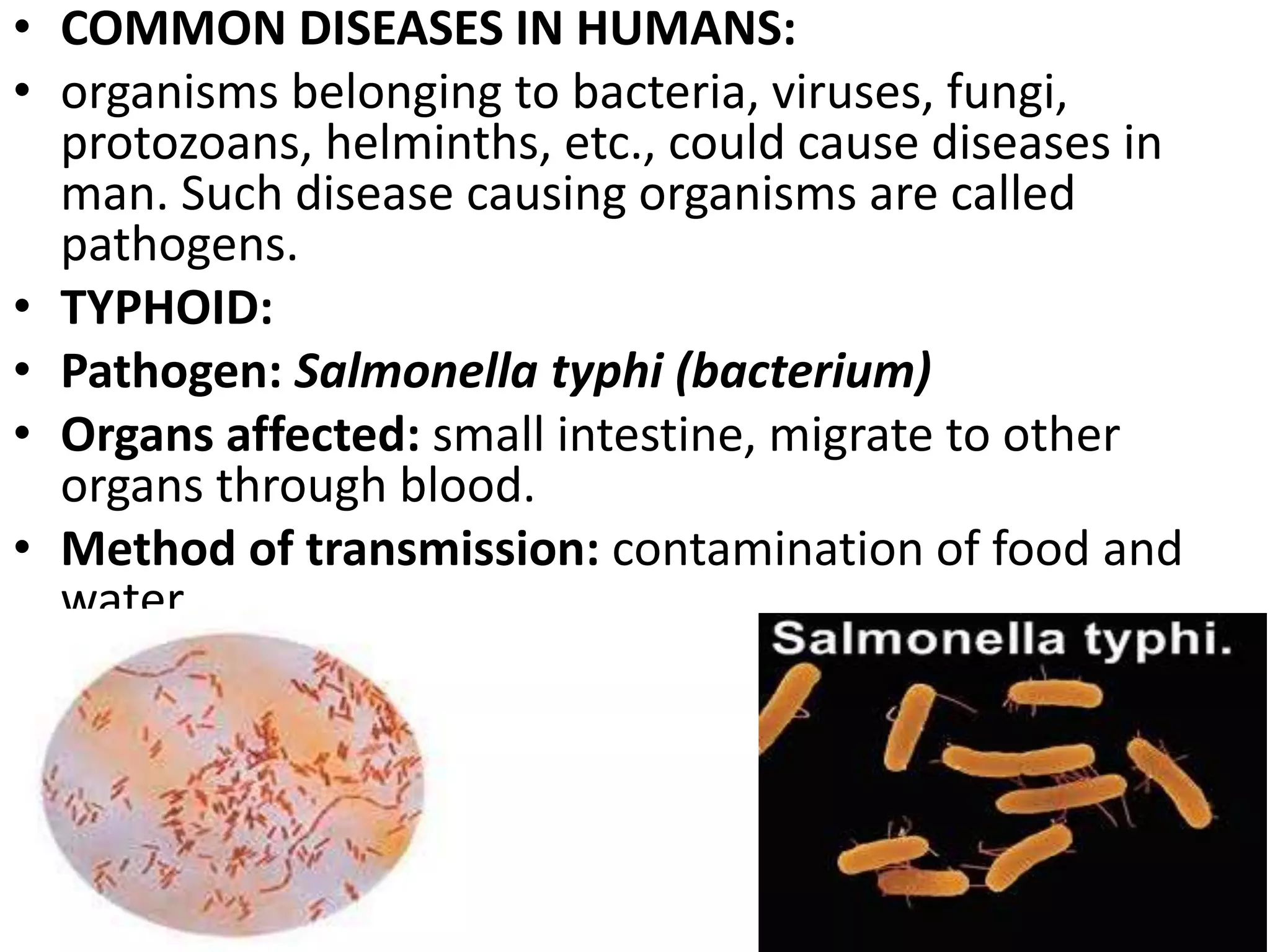 Chapter 8. Human health and disease. | PPTX