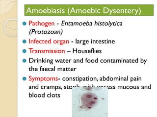HUMAN HEALTH AND DISEASE.pptx presentation.pdf