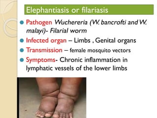 HUMAN HEALTH AND DISEASE.pptx presentation.pdf